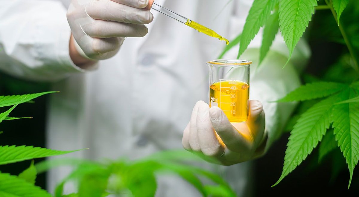Australian cannabis medicines pass rigorous TGA testing with flying ...