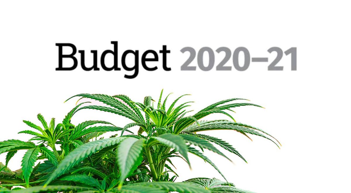 Australian government backs medical cannabis in latest budget ...