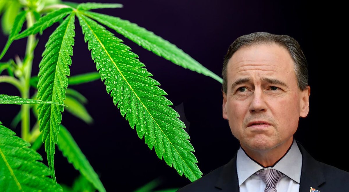 Greg Hunt's response to cannabis petition is full of holes | National ...