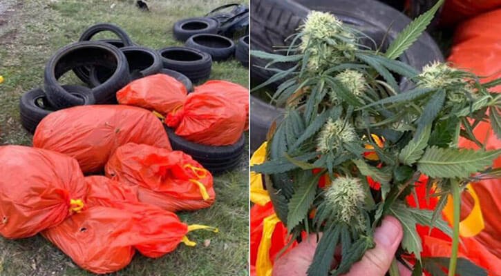 Seven Bags Of Cannabis Found During Sunday Morning Jog | South ...